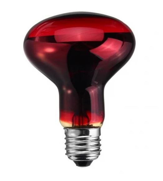 Infra izzók és kerámia izzók - gyors és kényelmes vásárlás